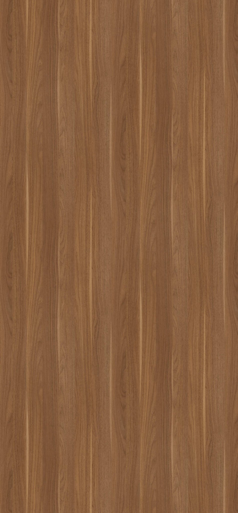 Light Tennessee Walnut - ZONAVITA