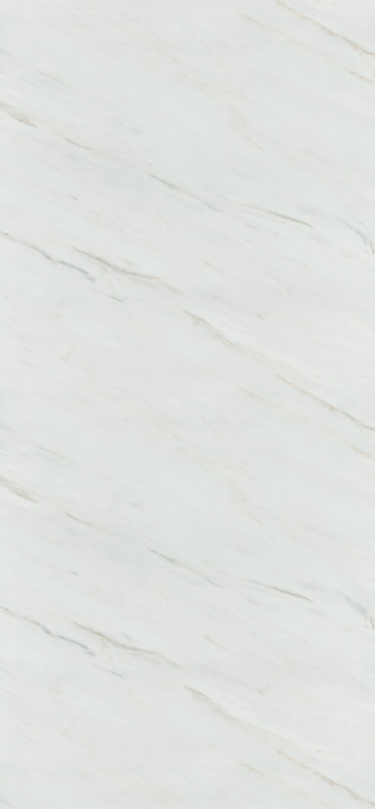 White Levanto Marble - ZONAVITA